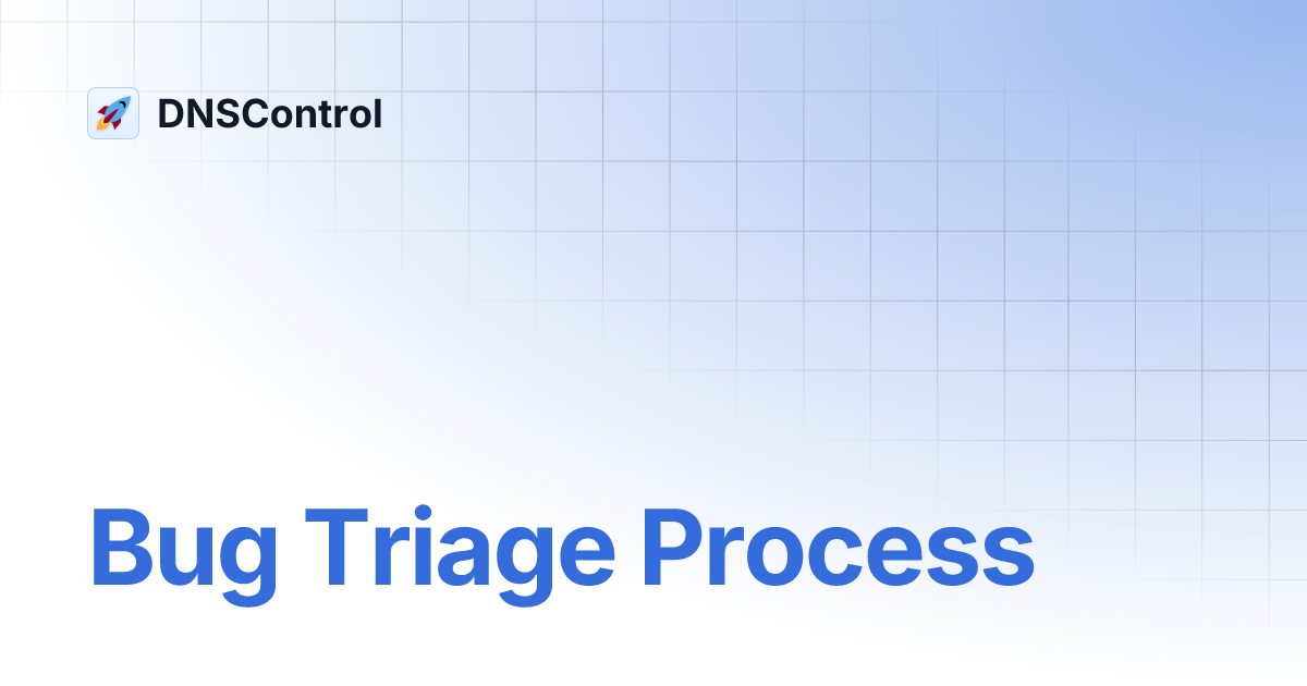 Bug Triage Process | DNSControl